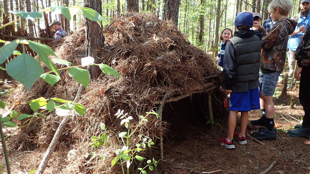 Will Your Children Survive Being Lost In The Woods?